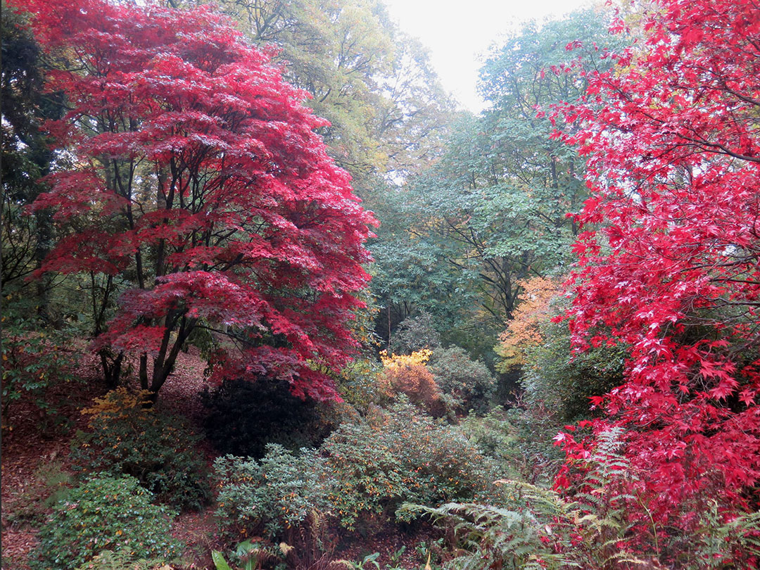 What to do/Where to go - The Gladestry Shepherd's Hut
